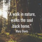 40 Inspiring Camino Walking Quotes | CaminoWays.com