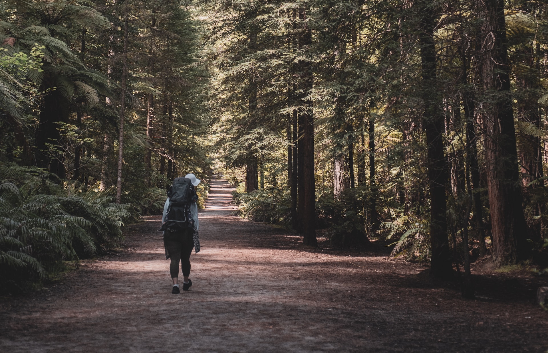 Camino Blog & Articles | CaminoWays.com