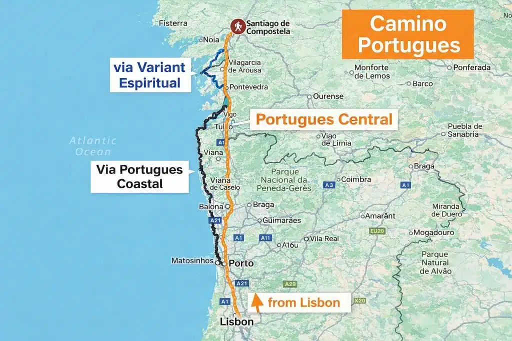 Camino Portugues | Portuguese Way Coastal & Inland Routes