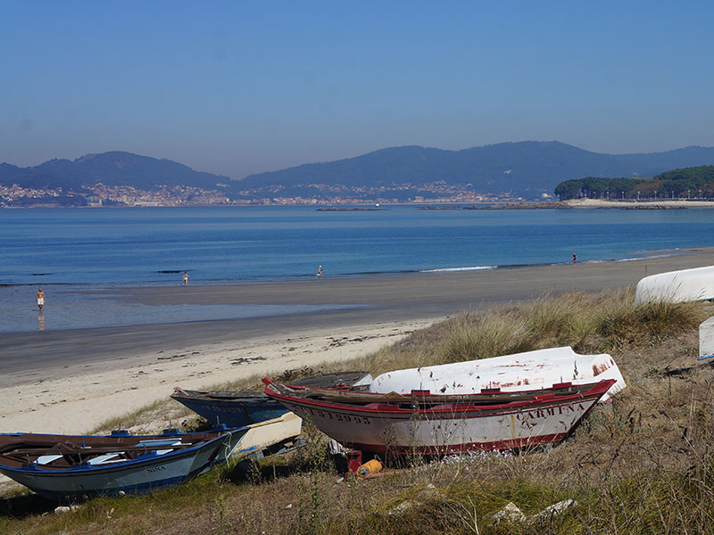 CaminoWays Official - Camino de Santiago | CaminoWays.com